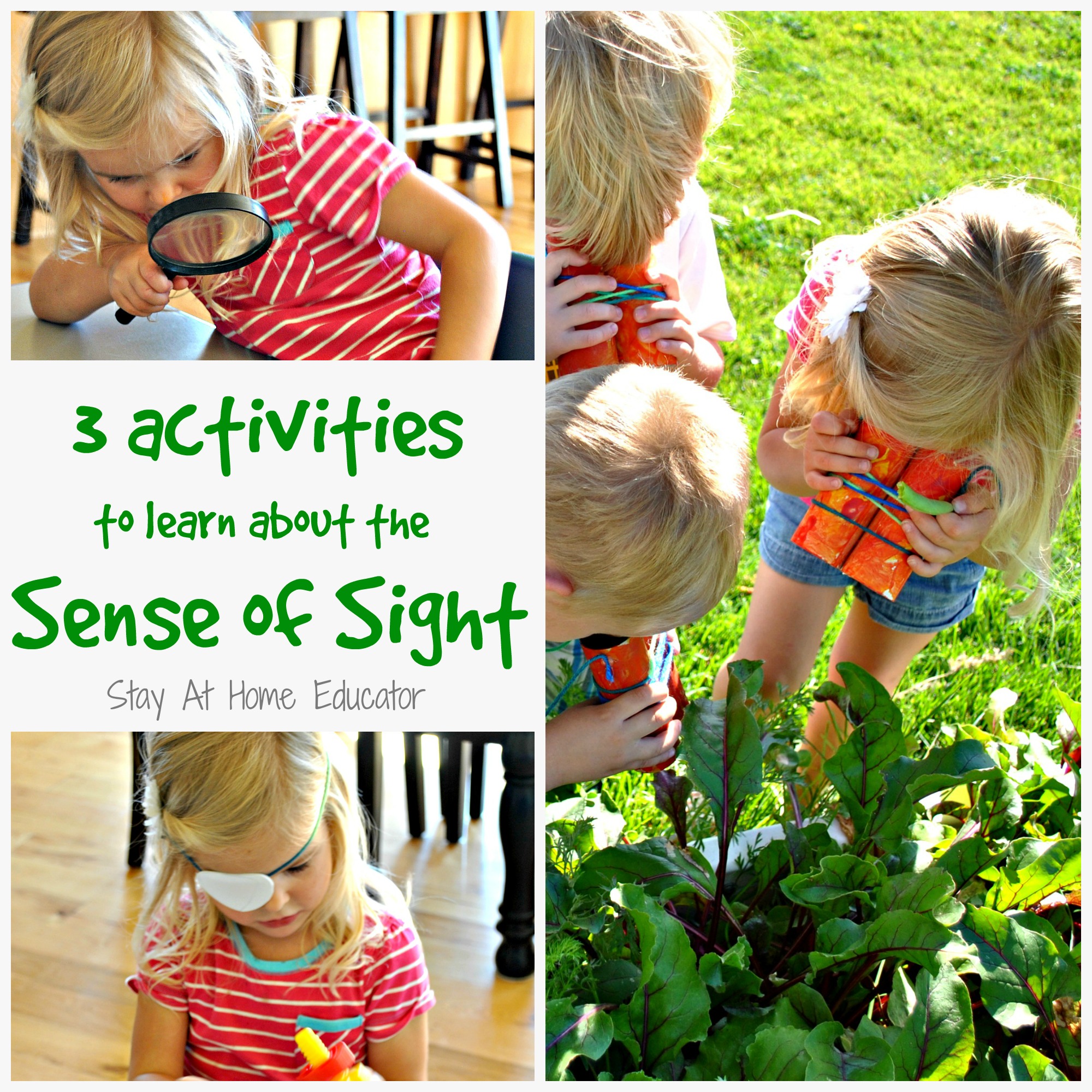 Five Sense Worksheet NEW 445 FIVE SENSE PRESCHOOL THEME Five Sense Worksheet NEW 445 FIVE SENSE PRESCHOOL THEME