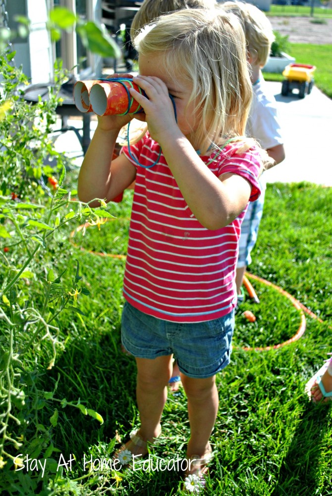 Three Preschool Sense Of Sight Activities Stay At Home Educator Three Preschool Sense Of Sight Activities Stay At Home Educator
