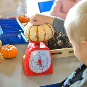 The BEST Fall Activities for Preschoolers - Stay At Home Educator