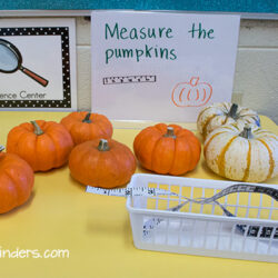 20+ Hands-on Pumpkin Activities for Preschool - Stay At Home Educator