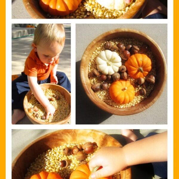 20 Preschool Autumn Sensory Bins - Stay At Home Educator