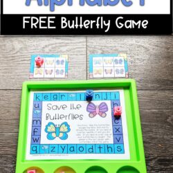 20+ Bug Games for Preschoolers - Stay At Home Educator