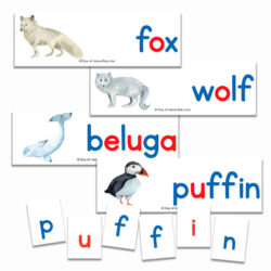 Early Literacy Arctic Animal Activities - Stay At Home Educator