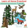 Free Forest Preschool Lesson Plans - Stay At Home Educator