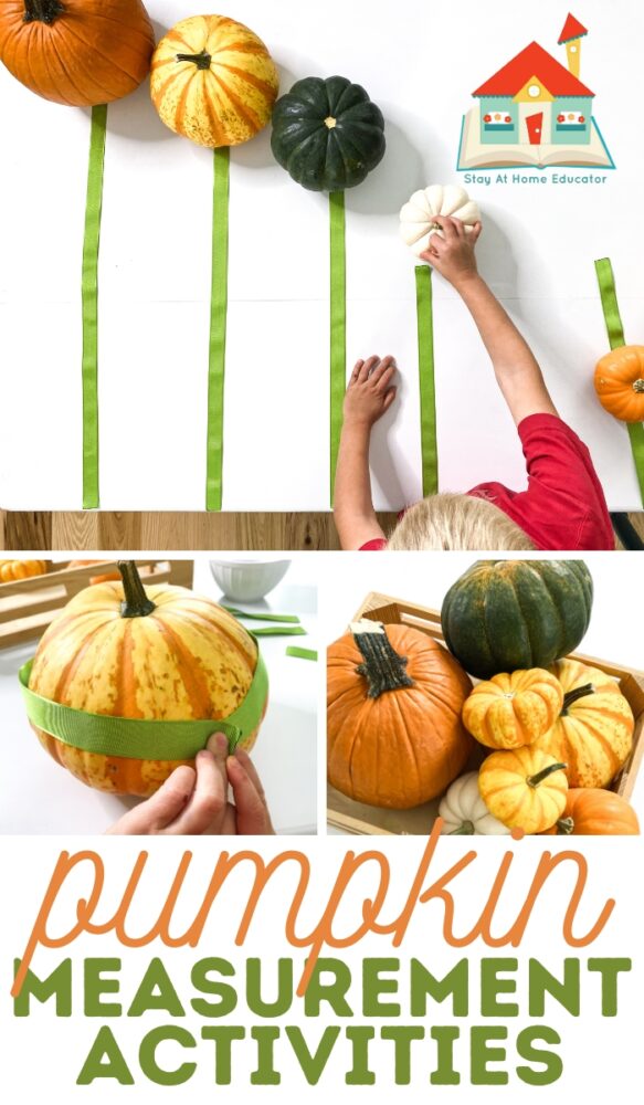 Estimating and Measuring in Pumpkin Math Activities - Stay At Home Educator