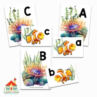 Ocean Preschool Centers: Engaging Activities & Printables for Kids