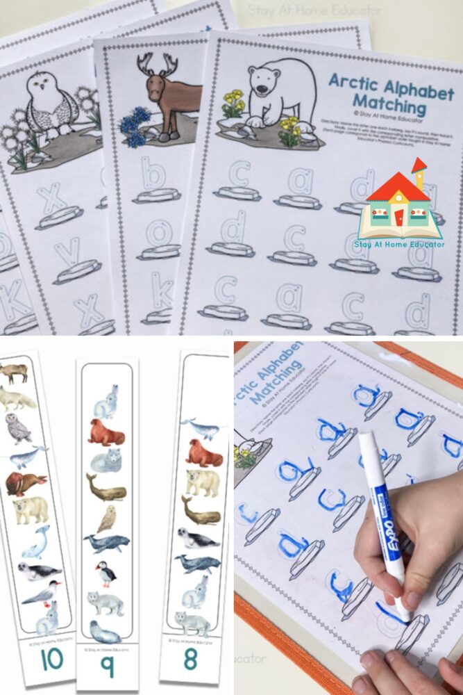 Winter Preschool Theme Ideas - Stay At Home Educator