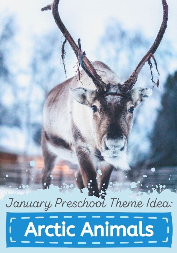 January Lesson Plan for Preschool: Activities for the New Year - Stay ...