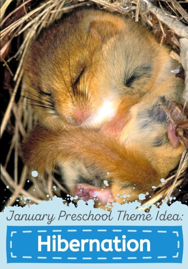 January Lesson Plan for Preschool: Activities for the New Year - Stay ...