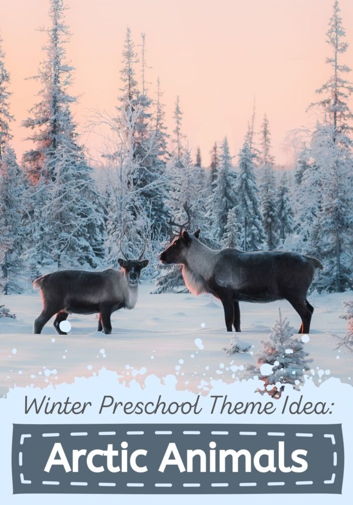 Winter Preschool Theme Ideas - Stay At Home Educator