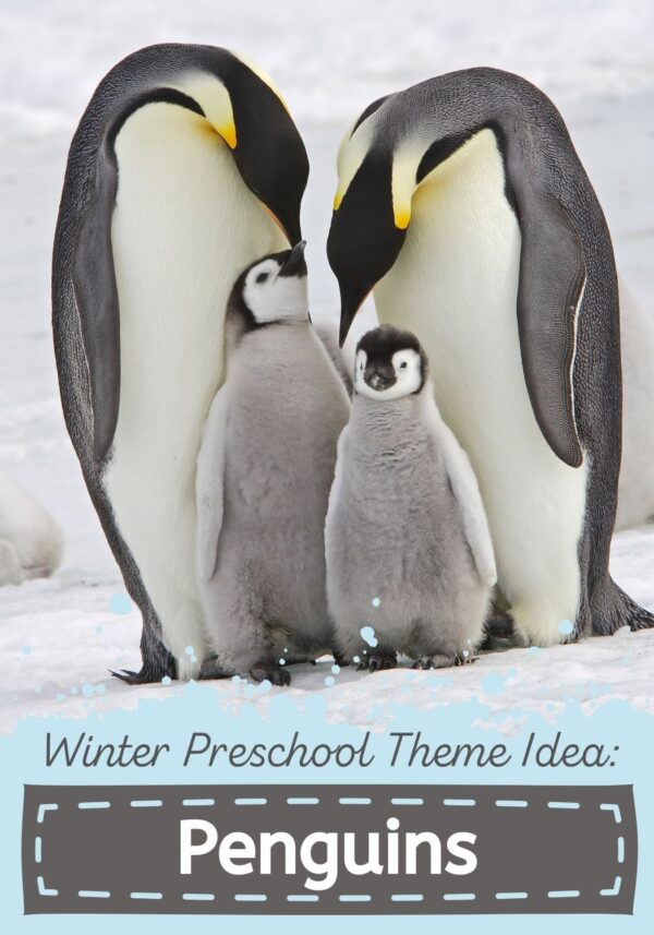 Winter Preschool Theme Ideas - Stay At Home Educator
