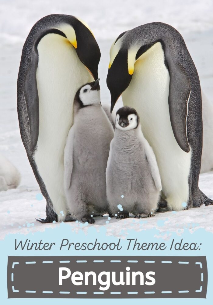 Winter Preschool Theme Ideas - Stay At Home Educator
