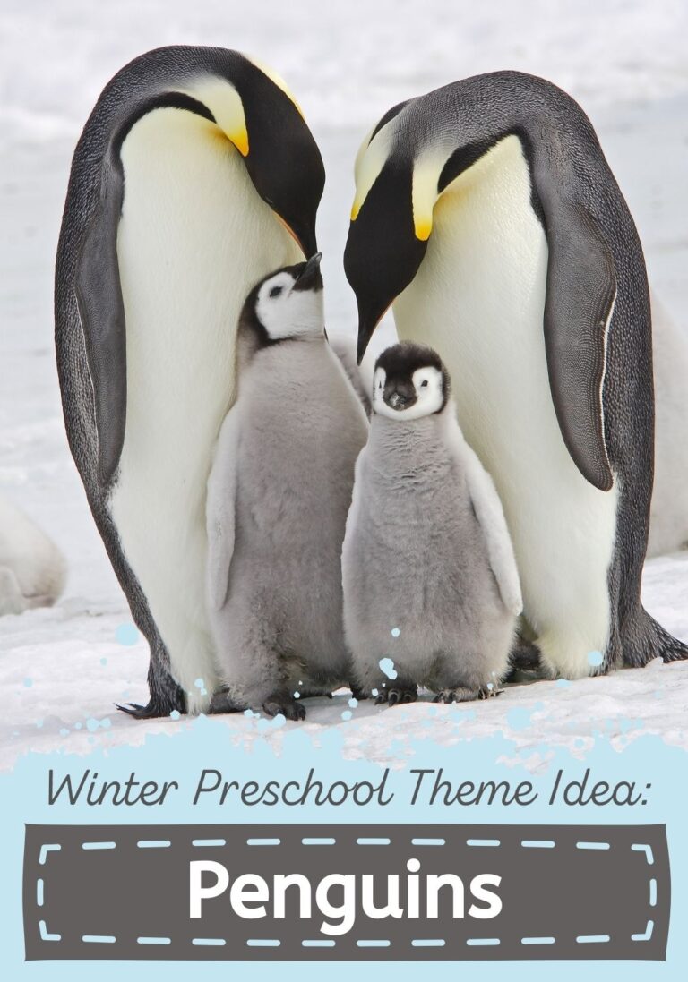 Winter Preschool Theme Ideas - Stay At Home Educator