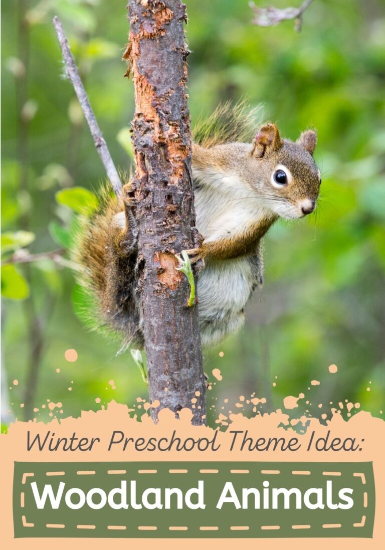 Winter Preschool Theme Ideas - Stay At Home Educator