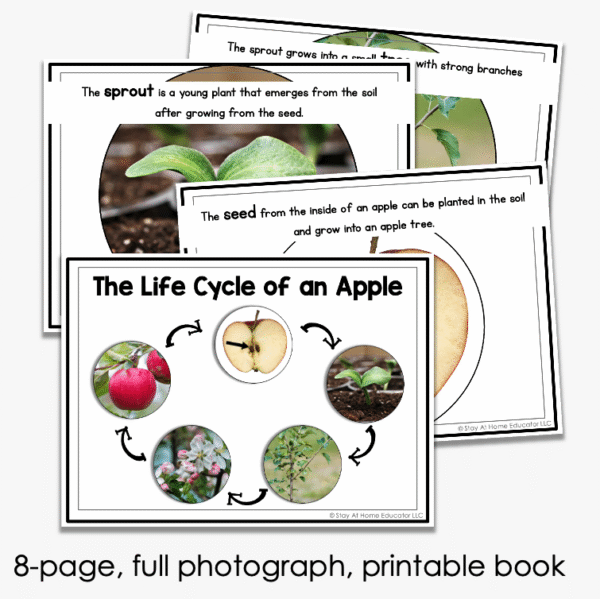 Apple Science Preschool Lesson Plans - Stay At Home Educator