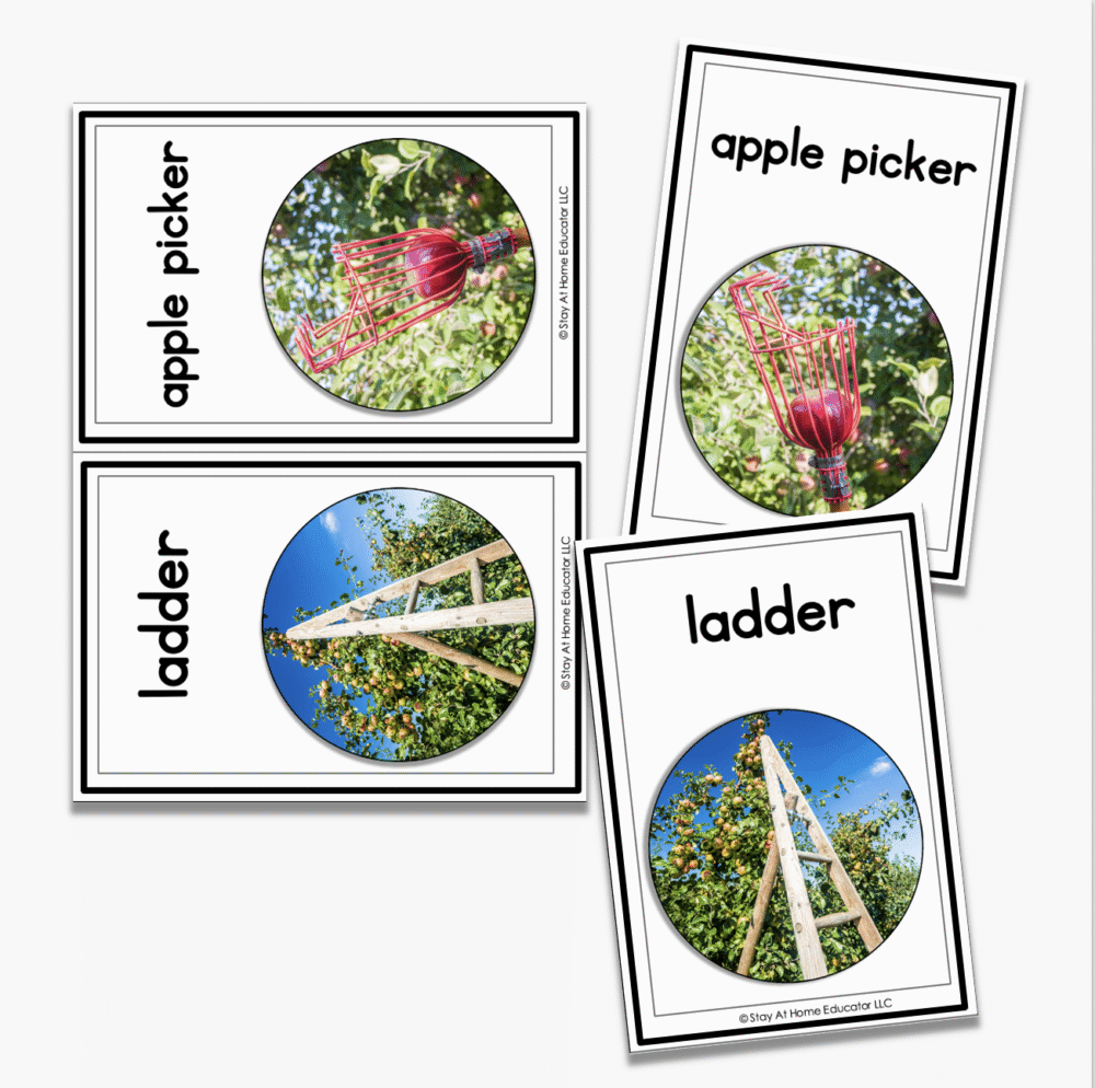 Apple Science Preschool Lesson Plans - Stay At Home Educator