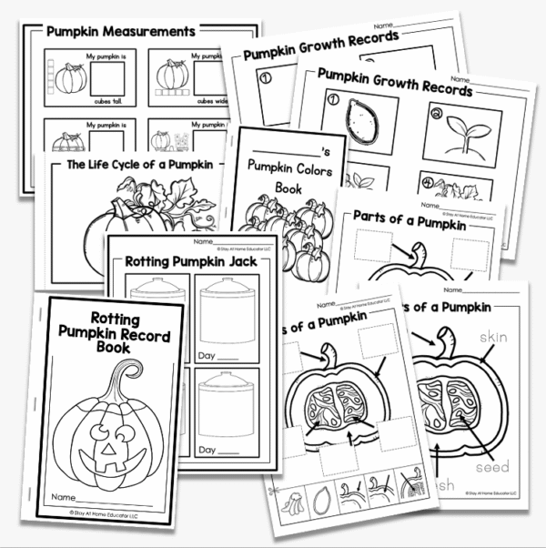 Pumpkin Science Preschool Lesson Plans - Stay At Home Educator